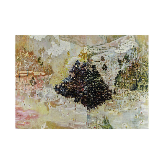 peter doig ski jacket