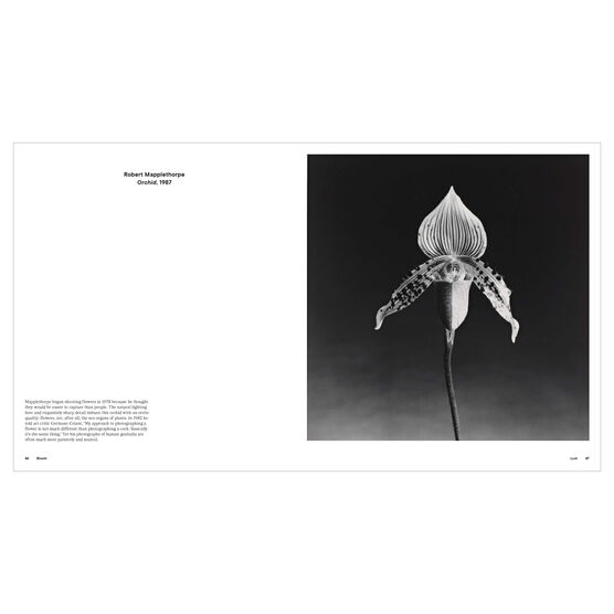 Bloom: Art, Flowers & Emotion | Books | Tate Shop | Tate