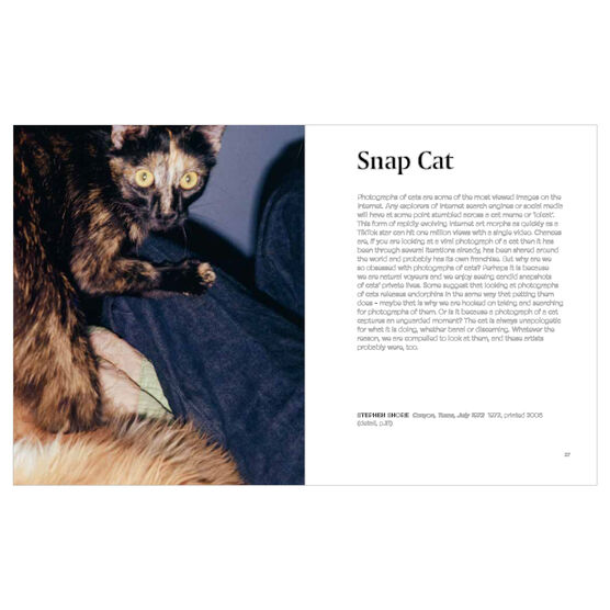 The Cat | Book | Tate Shop | Tate