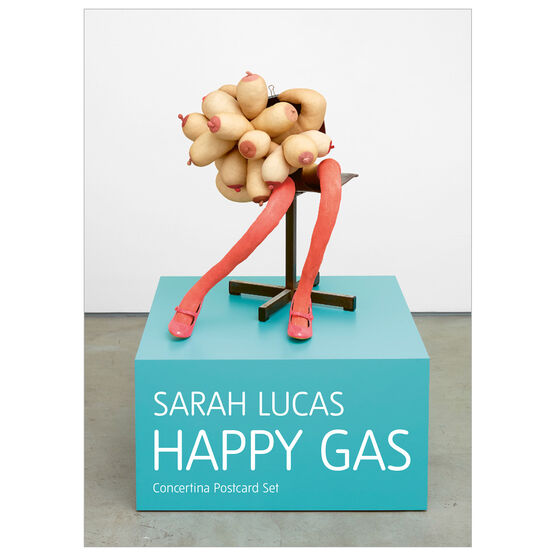 Sarah Lucas Bunny Series concerntina postcard book | Prints | Tate Shop ...