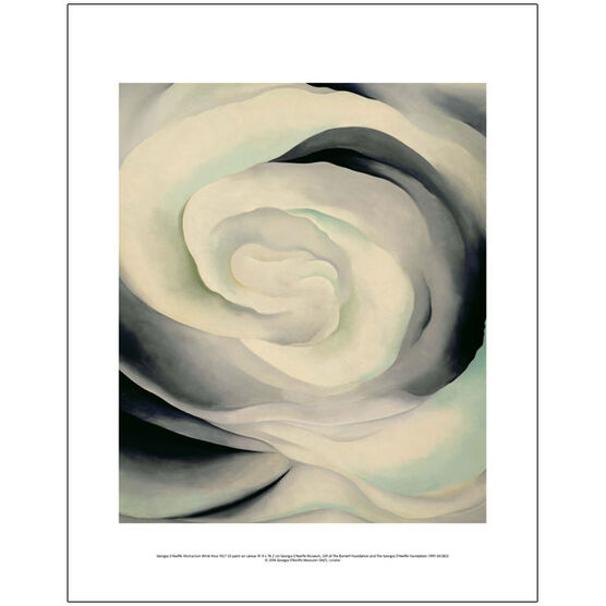 Georgia O'Keeffe Abstraction White Rose (mini print) | Tate