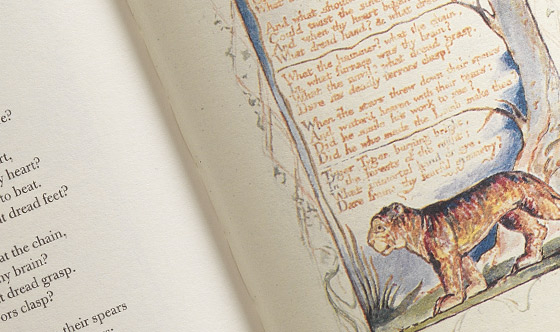 Tate Online Shop — Art Prints, Tickets, Membership, Books and Gifts | Tate